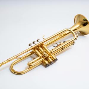 What's the Easiest and Hardest Band Instrument to Play? A Realistic ...